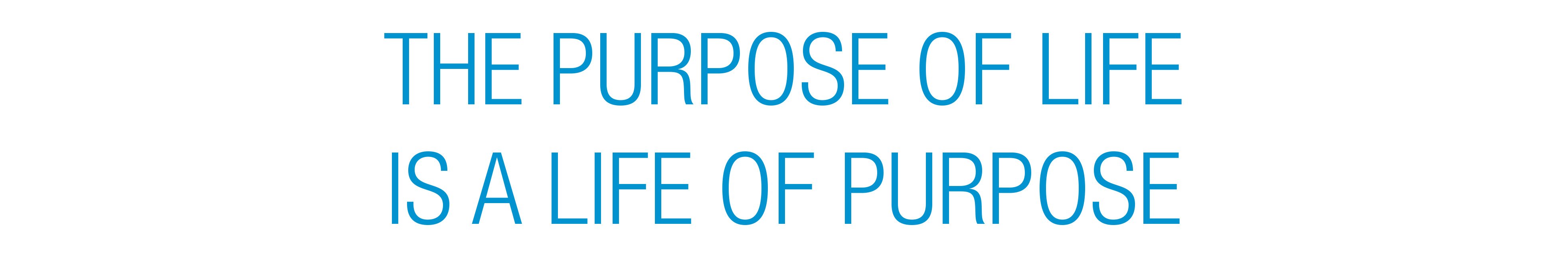 The purpose of life is a life of purpose - the human enterprise