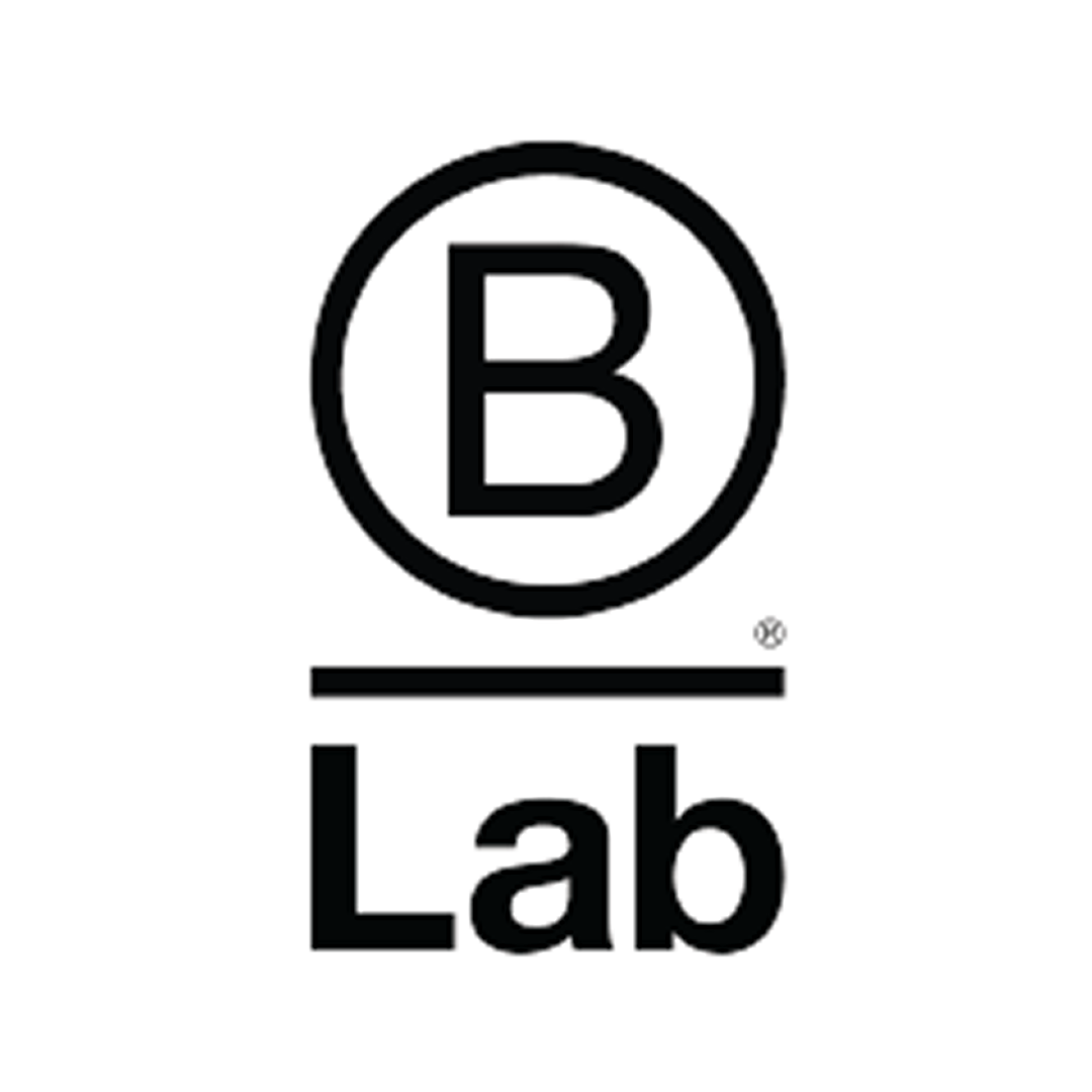 B Lab Logo | Executive Coaching Sydney | the human enterprise - the ...