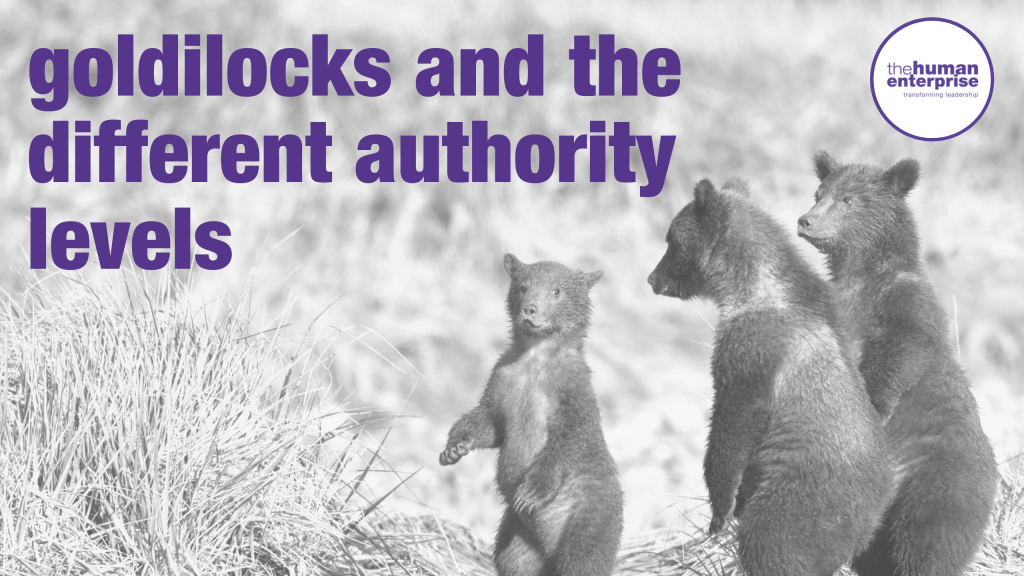 Levels of Authority | Leadership Skills Blog | the human enterprise